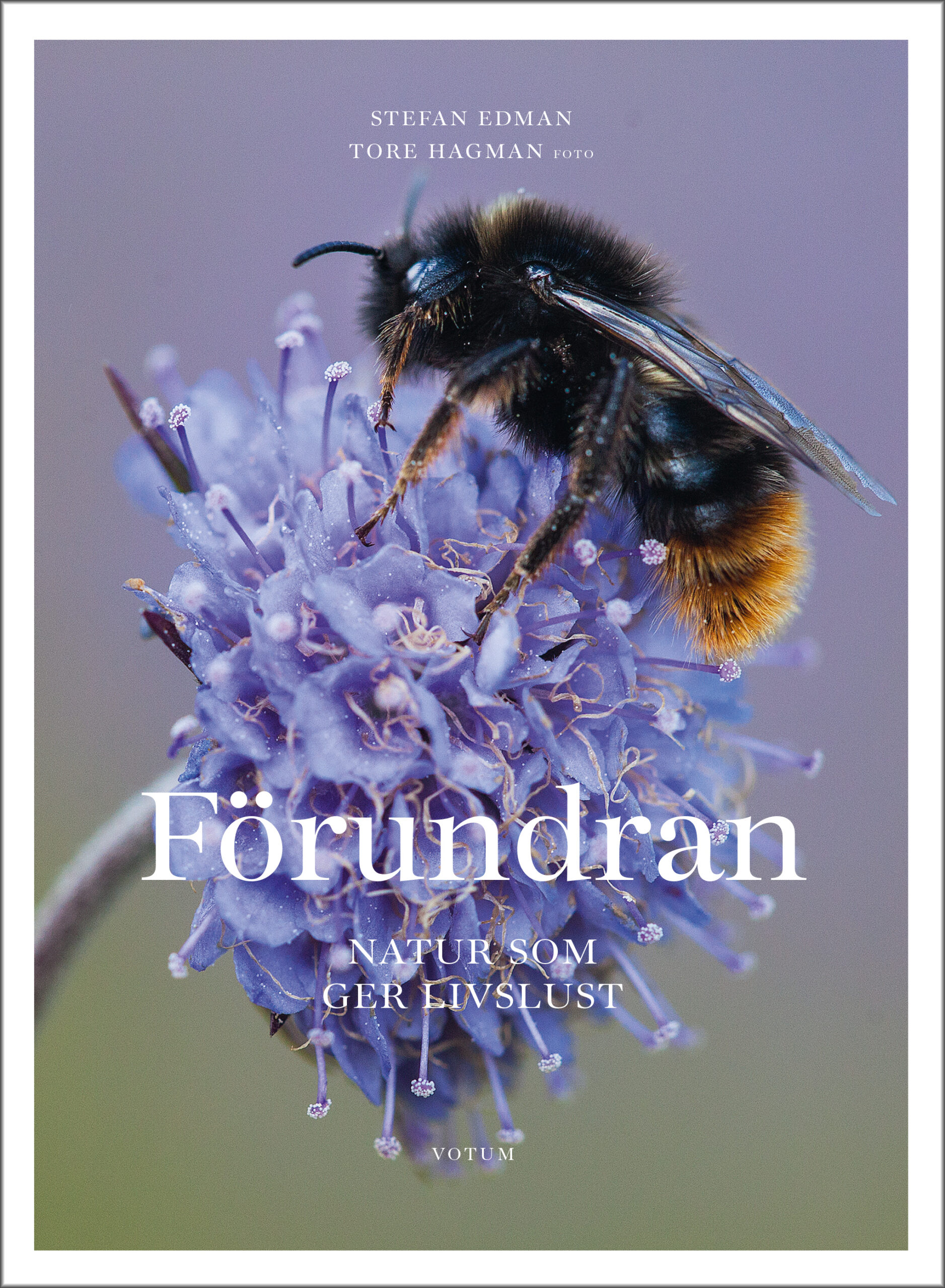 Ny bok av Stefan Edman och Tore Hagman – en hyllning till den ...